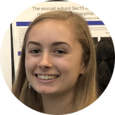 Hanneke Ion Trap Lab